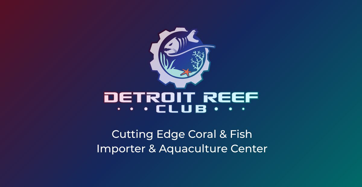 Home | Detroit Reef Club