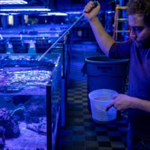 Home | Detroit Reef Club